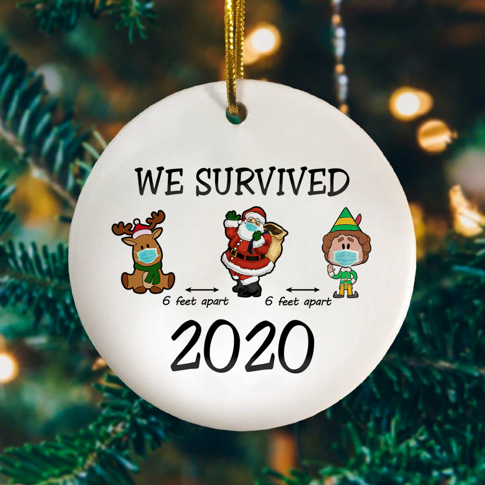 Pandemic Christmas Ornaments 2020 | We Survived 2020 Christmas Ornament ...