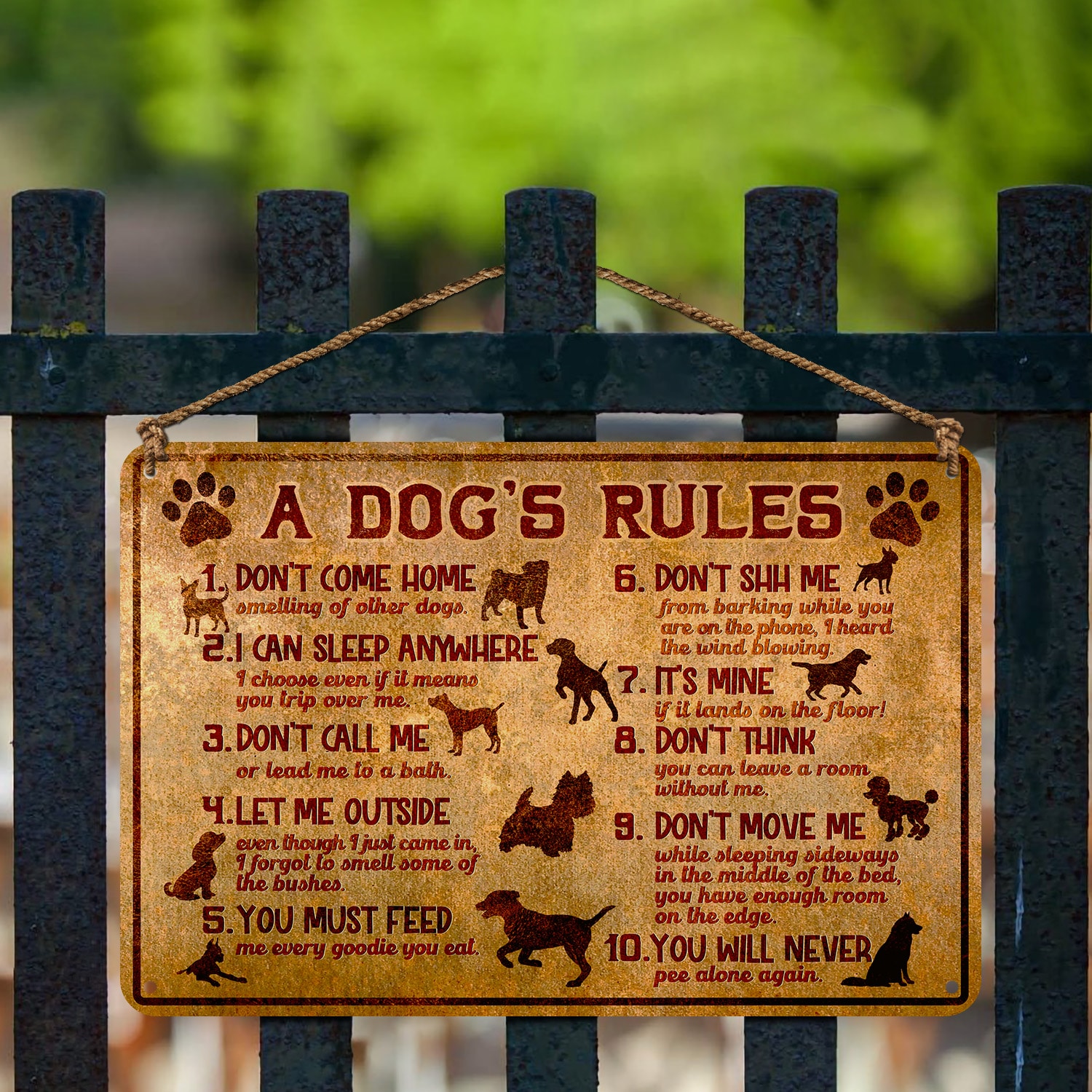 Vintage A Dog's Rule Don't Come Home I Can Sleep Anywhere Decorative ...